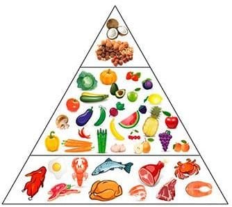 Alimentos de la dieta paleolítica ® DIETAS.ninja
